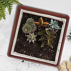 Yardwe 4pcs Flower Garden Flowerpot in Home Plastic Trays Drip Simple White/Pallets Red Plants Tray Holder Potted Accessories Indoors Practical Special Planters for Thick Bonsai Use