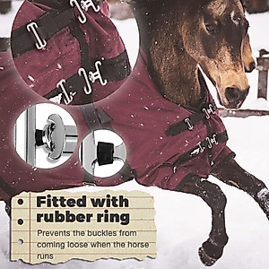 Harrison Howard 6PCS Hardware Horse Blanket Surcingle Buckle Replacement for Horse Sheets Surcingle Attachment 2 Sets