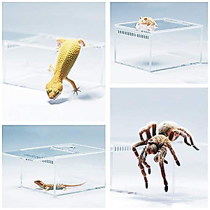 2 Pack Acrylic Reptile Terrarium Insect Tarantula Enclosure Tank Snail Spider Habitat Cage Mini Critter Keeper Insect Carrier Transparent Reptile Isopods Lizards Roach Invertebrates Insect Feeding Box