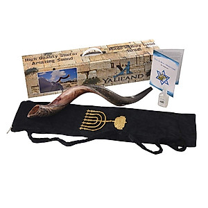 SHOFAR Set Half Polished Half Natural Kudu Horn Yemenite + Bag + Spray + Guide + Carrying Box Case (30"-32") From Israel