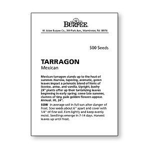Burpee Mexican Tarragon Seeds 500 seeds