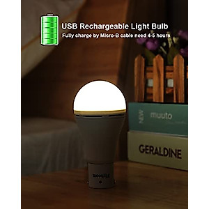 FLYHOOM Rechargeable LED Light Bulbs with Remote, 4 Light Modes & Timer, Portable 180LM Emergency Light Bulb LED Camping Light Bulbs with Clip Hook for Tent, Hiking, Home, Emergency