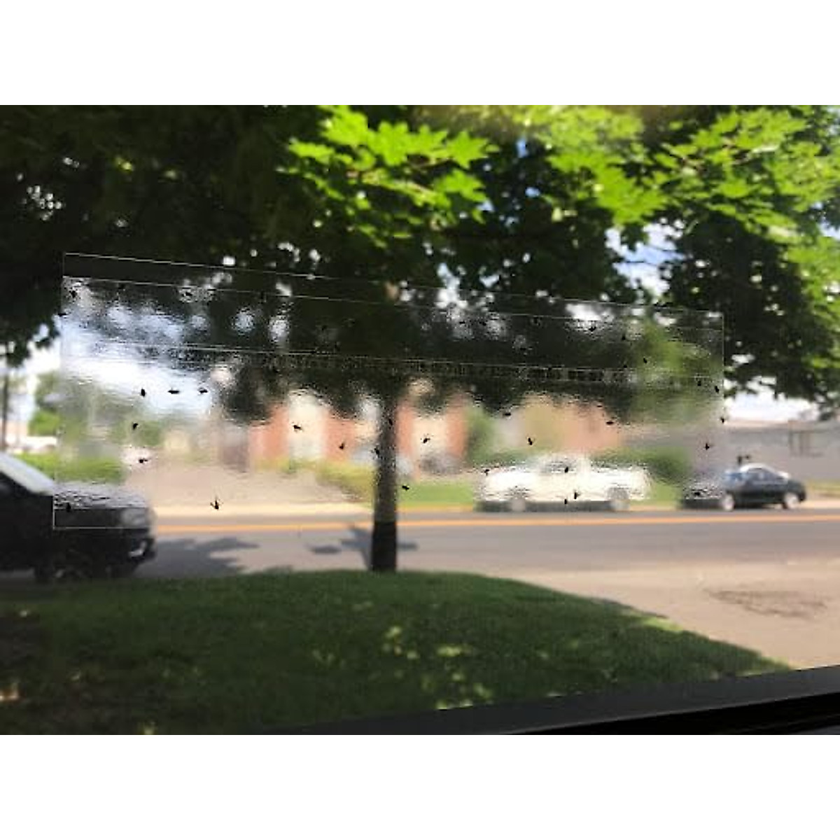 PIC Window Fly Traps