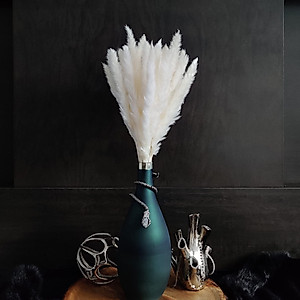 Livmore White Pampas Grass 35 Pcs, 19 inches/48cm Fluffy Natural Dried for Boho Wedding Centerpieces, Photography and Home Decor, Flower Arrangement Vase Fillers ,Kitchen and Garden Decorations