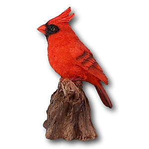 Ebros Gift Realistic Hand Painted Red Cardinal Bird Perching On Tree Stump Guest Greeter with Built in Motion Activated Sensor Chirping Sound Statue 6.5" Tall Taxidermy Home and Garden Sculpture