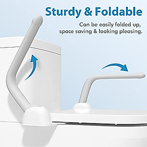 DAILYLIFE Toilet Safety Rail, Heavy Duty (480 LB) Armrest Hand Rail, Can be Folded Up, Aluminum Alloy Support for Elderly Senior Handicap Pregnant