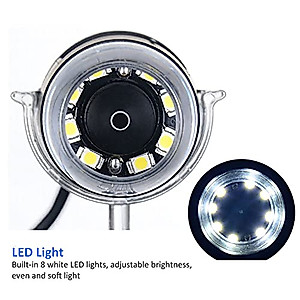 CZDYUF Professional Handheld USB Digital Microscope 500X 2MP Electronic Endoscope Adjustable 8 LED Magnifier Camera with Stand (Color : D, Size : 500X)