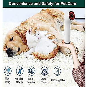 iKeener Handheld Red Light Therapy for Dogs,Portable LLLT Vet Device for Dogs and Pets, 650nm & 808nm Infrared Therapy for Pain Relief,Itching Skin & Wound Care in Dogs, Cats, Horses
