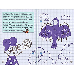 Exploring Flight! (Ada Twist, Scientist: The Why Files #1) (The Questioneers)