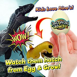 JA-RU Magic Grow Growing Dinosaur Toy (1 Egg Assorted) Surprise Hatching Dino Eggs in Water for Kids. Jurassic Party Favors Easter Basket Stuffers Pinata Fillers. 312-1A