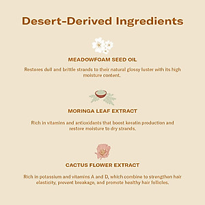 DAE Monsoon Moisture Milk Hydrating Shampoo - Hydrates, Calms Frizz, Softens, Helps Prevent Damage (10 oz)