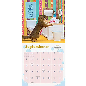 The Secret Life of Squirrels Wall Calendar 2021