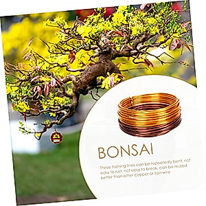 YARNOW 4pcs Practical Model Gardening Starter Brown Wire Golden Craft Climbing Making Holding Aluminum Sculpting Modelling Training Mm Plant Garden Bonsai Bike Tree Fence Wires Skeleton