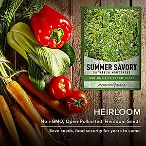 Summer Savory Seeds for Planting is A Heirloom, Non-GMO Herb Variety- Satureja Hortensis Herb Seeds Great for Indoor, Outdoor, Hydroponic Gardening by Gardeners Basics