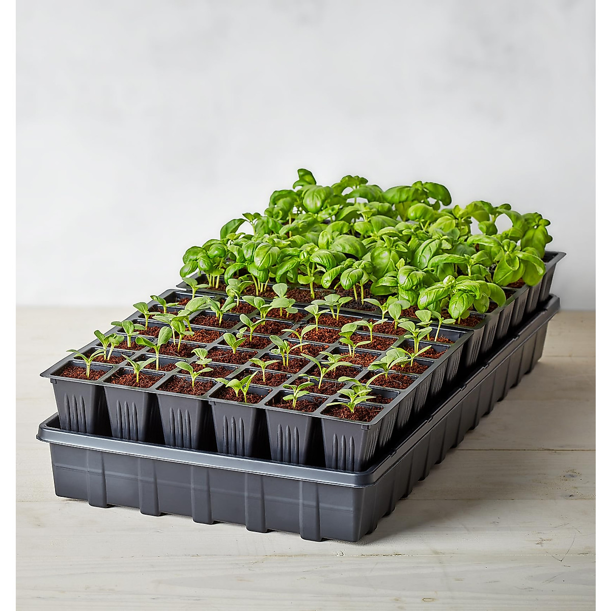 Burpee Self-Watering Seed Starter Tray, 72 Cells