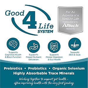 NutriSource Grain Free Dry Dog Food, Chicken and Peas, 26LB