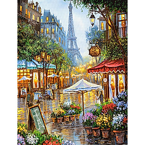 LANDFAIR Diamond Painting Kits - 15x20 inch Round Full Drill Flower Shop de Paris Diamond Art Kits for Adults