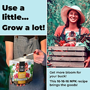 Grow Goodies All Purpose Plant Superfood : Lawn & Garden : Complete Minerals + Kelp + Yucca : 1LB : Bless Your Soil