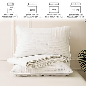 Whale Flotilla Ultra Soft Queen Quilt Bedding Set, Lightweight Microfiber White Quilts Bedspreads Full Size, 3 Piece Ultrasonic Geometric Coverlet Bed Cover for All Seasons