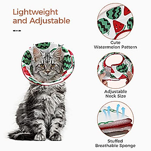 ComSaf Cat Recovery Collar, Lightweight Pet Elizabeth Collar, Soft Adjustable Cat Cone Collar After Surgery for Cat Kitten Prevent from Licking Wounds, Loops-Protective Healing, Not Block Vision
