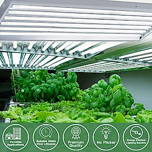 Celiwace F54T5/850/HO/ALTO 4 feet 54 Watt, T5 High Output 5000K Fluorescent Tube 46 Inches, 25 Pack G5 Cap 4200 Lumens