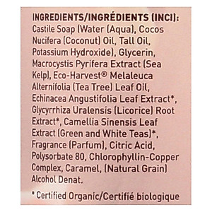 Desert Essence Thoroughly Clean Face Wash with Sea Kelp, Tea Tree Oil, Nourishing Castile Soap, Coconut Oil & More - Gently Remove Dirt & Impurities Without Drying Skin - Vegan, Sulfate Free - 8.5oz