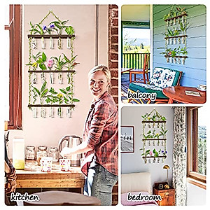 Grovind Propagation Stations, 3 Tier Large Wall Hanging Plant Terrarium with Wooden Stand Retro Propagation Station Test Tubes for Hydroponic Indoor Plants Cutting Planter for Home Garden Office Decor