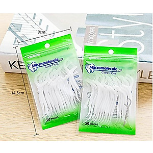 VNDEFUL 100Pcs(5 Packets ) White Dental Floss Picks Toothpicks Stick Oral Care