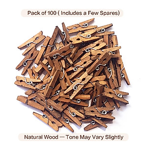 LWR CRAFTS Wooden Mini Clothespins 100 Per Pack 1" 2.5cm (Jacobean)
