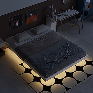 Dolonm Queen Size Bed Frame, Floating Bed Frame with LED Lights, Modern Low Profile Platform Bed Frame, Solid Pine Wood Slats Support, Noise Free, No Box Spring Needed, Easy Assembly, White