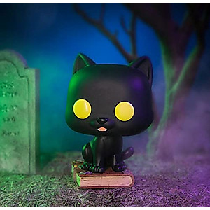 Funko Pop! Hocus Pocus Thackery Binx Cat Exclusive 1247