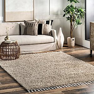 nuLOOM Neva Modern Tasseled Shag Area Rug, 10x14, Beige