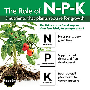 Miracle-Gro Ready-To-Use Orchid Plant Food Mist, 8 oz., Orchid Food Feeds Plants Instantly, 2-Pack