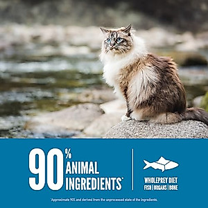 ORIJEN® Dry Cat Food, Grain Free, Premium, High Protein, Fresh & Raw Animal Ingredients, Six Fish, 12lb