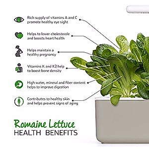 Click and Grow Smart Garden Romaine Lettuce Plant Pods, 3-Pack