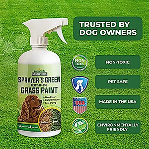 PetraMax Green Grass Paint for Lawn, Ready-To-Use Green Grass Lawn Spray & Dog Spot Repair, Lawn Paint, Spray on Grass, Green Lawn Spray, Green Grass Spray Paint for Lawn Yellow & Urine Spots - 32 oz