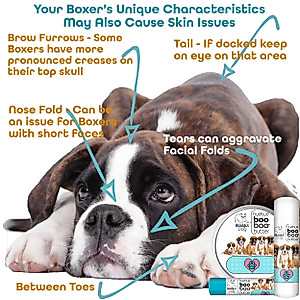 The Blissful Dog 1 oz TIN Boxer Booboo Butter