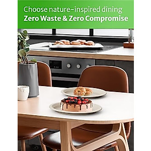 Teoox 100% Compostable Oval Plates Biodegradable Plates, BPI-Certified Eco Paper Plates, Bagasse Platter Plates, Recyclable Paper Plates, Sugarcane Plates (12.5 Inch - 40 Count)