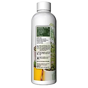 Succulent and Cactus Fertilizer by Home + Tree - Every Bottle Sold Plants A Tree