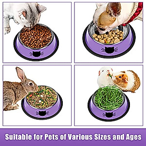 Serentive 2Pcs Cat Bowls Non-Slip Stainless Steel Small Cat Food Bowls Unbreakable Thicken Cat Feeder 7 Oz Cat Dishes Suitable for Indoor Small Pets Removable Rubber Base Easily Clean Lovely Color