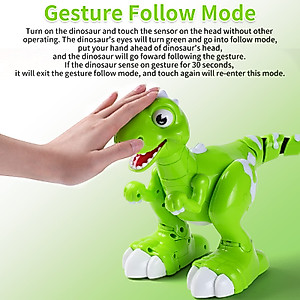 TUUYOOWK Remote Control Dinosaur Toys for Kids 3-5 5-7, Realistic RC Electronic Dinosaur Toy with Water Mist Spray, Rotating, Singing and Dancing, Foraging Mode for Boys Girls