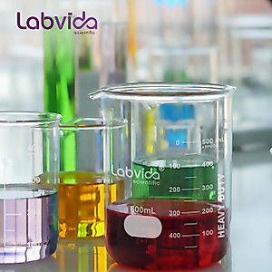 Labvida 6pcs 600ml Upgrated Thick Glass Beakers, Griffin Low Form Beaker Set with Double Scale, 3.3 Boro, LVA030