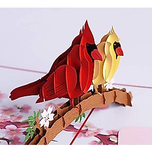 3D Popup Card of Cardinal Bird, Paper Art & Handicrafts, Greeting Cards, Handmade Gifts by PQDGlobal (Cardinal couple)