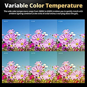 Godox ML60Bi ML60 Bi 60W Bi-Color LED Light Silent Mode Portable Brightness Adjustment Support Li-ion Outdoor LED Light with 2X NP970 Lithium Battery