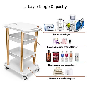 Beauty Salon Furniture Trolley Spa Styling Pedestal Rolling Cart 4 Shelf Abs Aluminum Elitzia ETTRO5