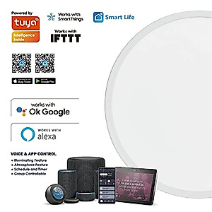 BestLuz Smart Ceiling Light Front RGBW 3000K 12 inch Flush Mount Ceiling Light Dimmable Alexa/Google Assistant/App Control Color Changing LED Ceiling Light Fixture for Living Room & Bedroom