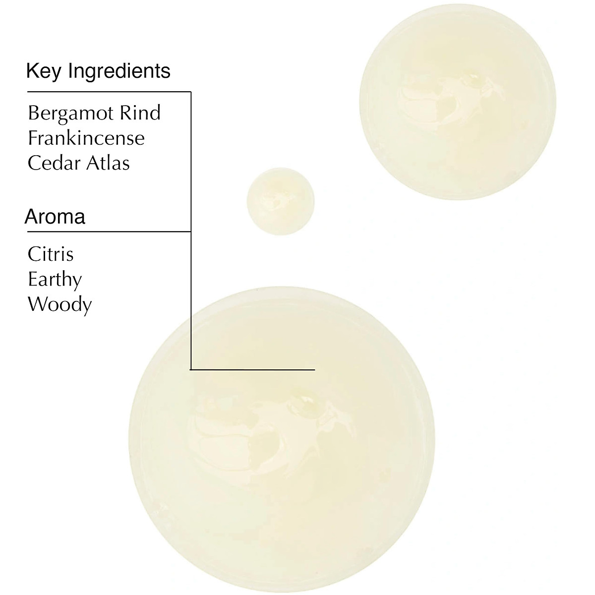 Aesop Geranium Leaf Body Cleanser and Shampoo | Paraben, Cruelty-free & Vegan | 16.9 oz