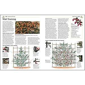 Pruning and Training, Revised New Edition: What, When, and How to Prune