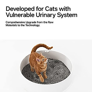 pidan Tofu Cat Litter Flushable Mixed Litter with Activated Carbon Bentonite, Odor Free Absorbent, Fast Drying, Selected Quality Pea Dregs, Solubility in Water, Vacuum Package(6L-5.3lb/Bag, 4bag)