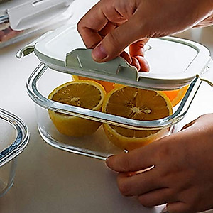 GAGALU Metal Lunch Box Divided Glass Fresh Keeping Box for Family, Two Compartments,with Seal Locking Lids